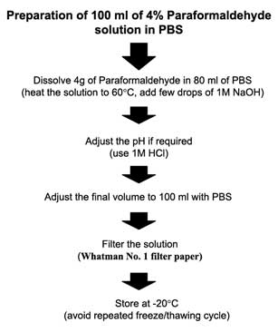 Preparation of 4% Paraformaldehyde Solution in PBS - Laboratory Notes
