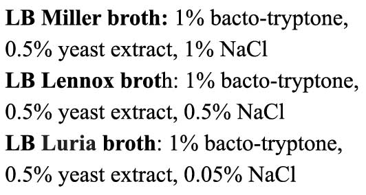 LB (Lysogeny Broth) Medium - Laboratory Notes