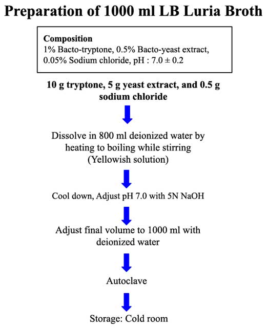 Preparation of LB Luria Broth - Laboratory Notes