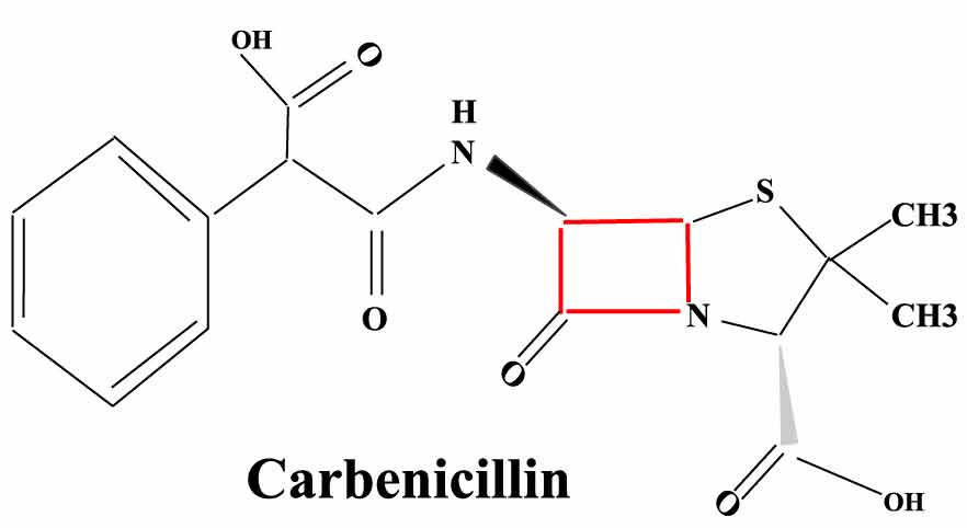 Ampicillin vs Carbenicillin - Laboratory Notes