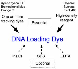 DNA Loading Dye - Laboratory Notes