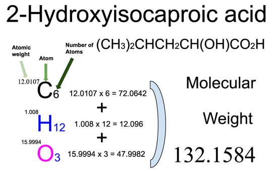 2-Hydroxyisocaproic Acid [(CH3)2CHCH2CH(OH)CO2H] Molecular Weight ...
