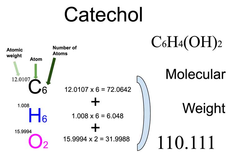 Catechol [C6H4(OH)2] Molecular Weight Calculation - Laboratory Notes