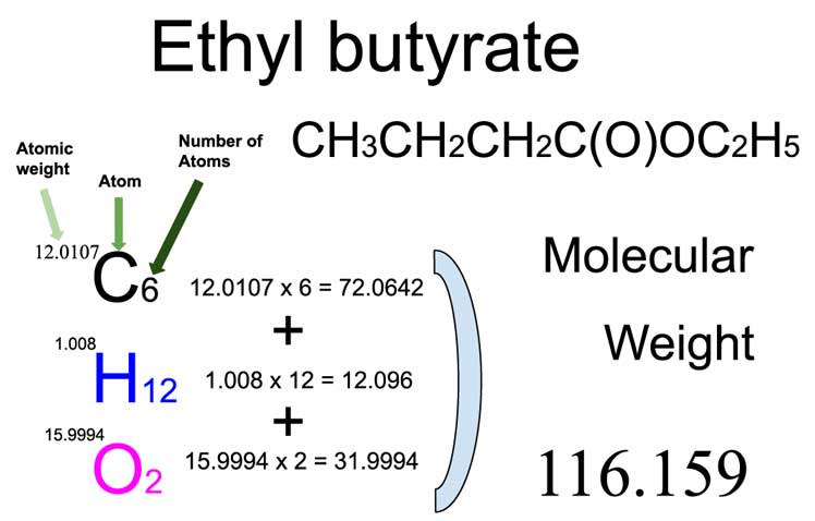 Ethyl Butyrate Structure