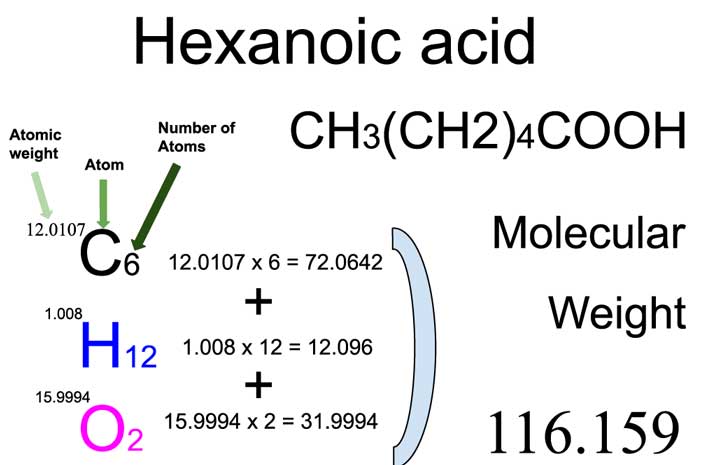 Hexanoic acid (Caproic acid) [CH3(CH2)4COOH] Molecular Weight ...
