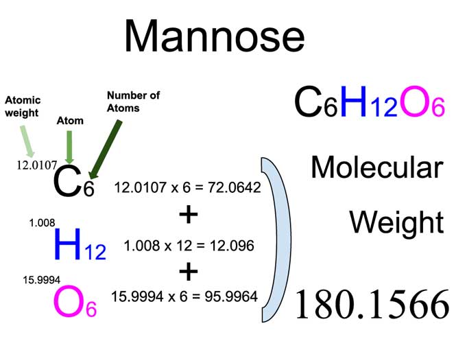 Mannose (C6H12O6) Molecular Weight Calculation - Laboratory Notes