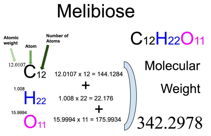 Melibiose (C12H22O11) Molecular Weight Calculation - Laboratory Notes
