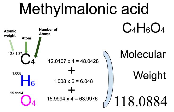 Methylmalonic Acid (C4H6O4) Molecular Weight Calculation - Laboratory Notes