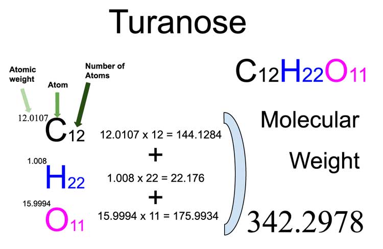 Turanose (C12H22O11) Molecular Weight Calculation - Laboratory Notes
