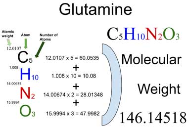 Glutamine [C5H10N2O3] Molecular Weight Calculation - Laboratory Notes