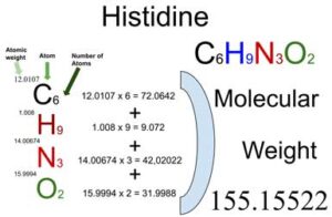 Histidine [C6H9N3O2] Molecular Weight Calculation - Laboratory Notes