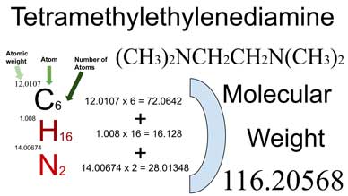 Tetramethylethylenediamine (CH3)2NCH2CH2N(CH3)2 Molecular Weight ...
