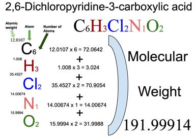 2,6-Dichloropyridine-3-carboxylic acid (C6H3Cl2NO2) Molecular Weight ...
