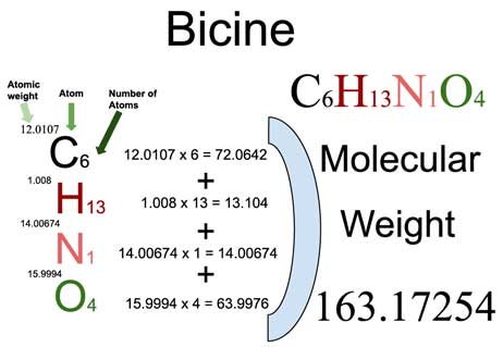 Bicine [C6H13NO4] Molecular Weight Calculation - Laboratory Notes