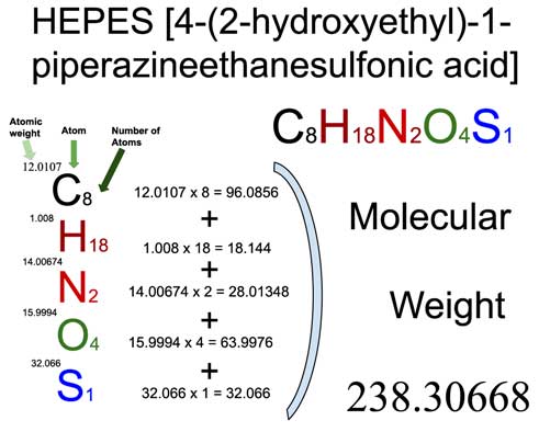 HEPES [4-(2-Hydroxyethyl)-1-Piperazineethanesulfonic Acid] [C8H18N2O4S ...