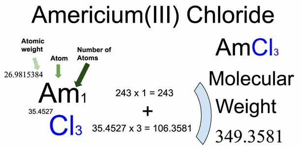 Americium(III) Chloride [AmCl3] Molecular Weight Calculation ...