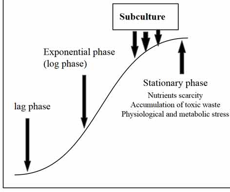 Passaging/subculturing cells - Laboratory Notes